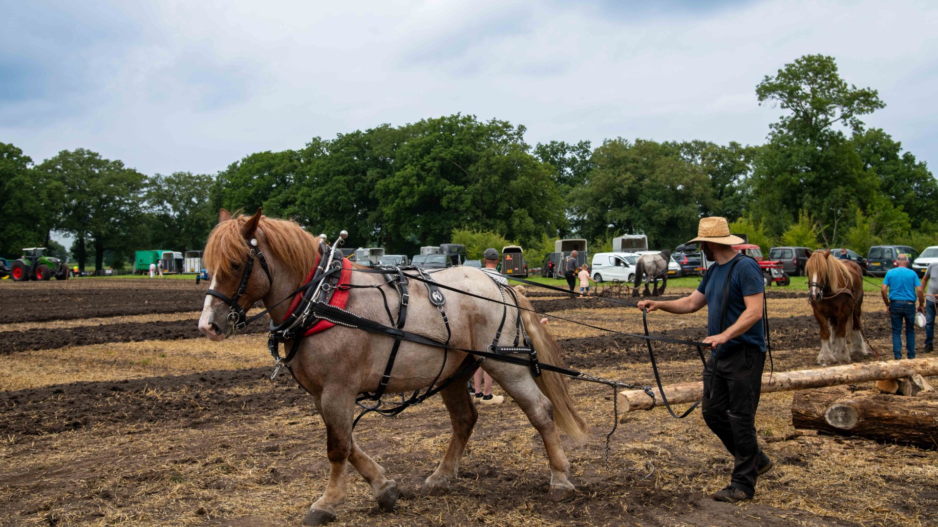 ZO!34 - In Beeld: Holthoner Oogstdag in Holthone